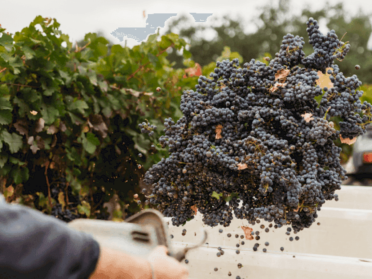 Long Meadow Ranch Napa Valley Wine Dinner